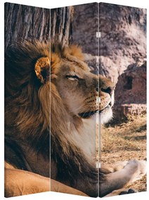 Paraván - Ležící lev (126x170 cm)
