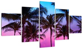 Obraz - Palmy v Miami (125x70 cm)