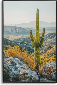 Obraz Cactus B 60x90 cm vícebarevný