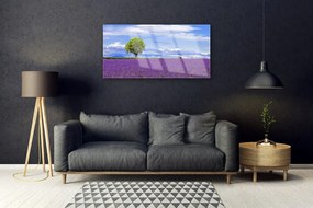 Obraz na skle Pole Levandule Strom Příroda 140x70 cm