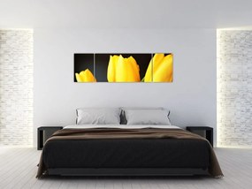 Obraz tulipánů (170x50 cm)