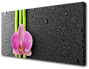 Obraz na plátně Bambus Květ Rostlina Příroda 125x50 cm