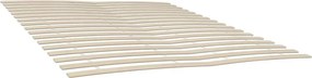 Náhradní lamely k posteli s 34 lamelami 2 ks 90x200 cm 3203721