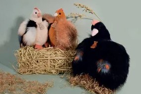 Doudou Histoire d´Ours Plyšová slepička béžová 20 cm / od 0 let