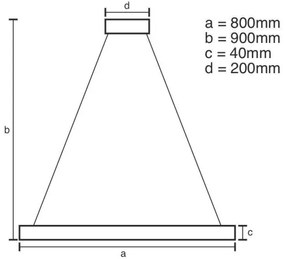 Brilagi - LED Stmívatelný lustr na lanku CIRCLE LED/55W/230V 3000-6500K + DO