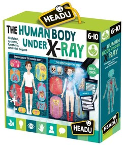 Headu HEADU: Lidské tělo pod rentgenem