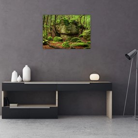 Skleněný obraz kouzelného lesa (70x50 cm)
