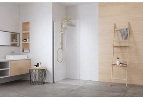 Sprchový set z nerezové oceli v matně zlaté barvě 101 cm Young Line – Wenko