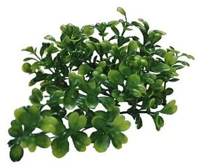 Lucky Reptile Turtle Plants Bacopa cca 40 cm