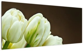 Tulipány - obraz (100x40cm)