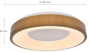 Brilagi - LED Stmívatelné stropní svítidlo DORIA LED/48W/230V 3000-6500K + DO