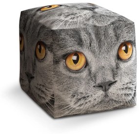 Sablio Taburet Cube Kočičí pohled: 40x40x40 cm