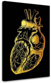 Gario Obraz na plátně Zlatá anatomie, lidské srdce - Gab Fernando Rozměry: 40 x 60 cm