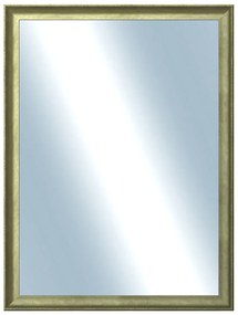 DANTIK - Zarámované zrcadlo - rozměr s rámem cca 60x80 cm z lišty Ferrosa zlatá (3142)