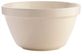 Bílá kameninová mísa Mason Cash Basin, ⌀ 22 cm