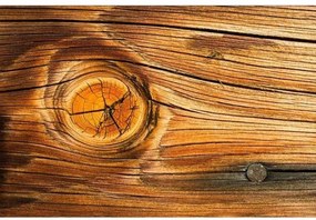 DIMEX | Vliesové fototapety na zeď Dřevěný suk MS-5-0157 | 375 x 250 cm| hnědá, šedá