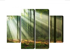 Vícedílný obraz Lesní Krajina V Dopoledních Hodinách Nedostatek Nedostatek Plátno Canvas 120x90