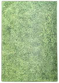 Conceptum Hypnose Kusový koberec Grass, Vícebarevná, 160 x 230 cm