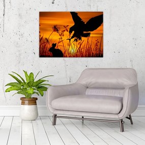 Skleněný obraz siluety dravce (70x50 cm)