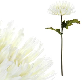 Chryzantéma jednohlavá, barva světle krémová KU4335
