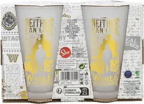 Stor Set sklenic Harry Potter / Sklenice / 2 ks / 480 ml / nevhodné do