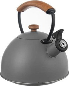 Nerezová pískací konvice WOODEN, 2,9 l