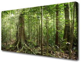 Obraz na plátně Les Příroda Džungle 140x70 cm