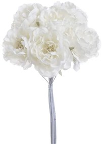 kytice krajkových růží (6ks) - krém