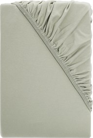 Livarno® Žerzejové napínací prostěradlo, 180–200 x 200 cm (zelená)