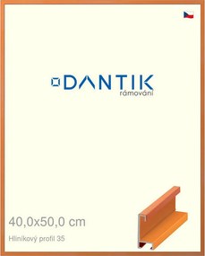 DANTIK rámeček 40x50 | ALU profil 6035 Dýha barevná oranžová (Sklo Čiré)