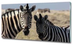 Wallmuralia Fotoobraz na skle Dvě zebry 100x50