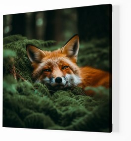 Obraz na plátně - Liška odpočívá v kapradinách FeelHappy.cz Velikost obrazu: 80 x 80 cm