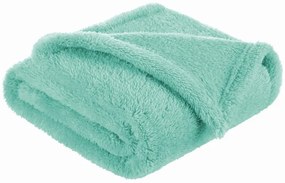 Jemná fleecová dečka 80 x 100 cm - mátová