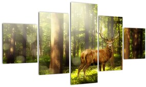 Obraz jelena v lese (125x70 cm)