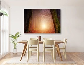 Obraz les v pohádkových barvách Varianta: 120x80