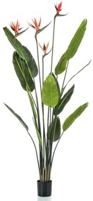 Emerald Umělá Strelitzia 4 rostliny v květináči 150 cm - Default Title