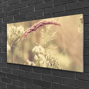 Obraz na skle Divoké Rostliny Příroda 140x70 cm