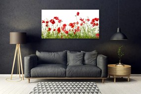 Plexisklo-obraz Louka Máky Květiny Příroda 120x60 cm