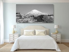 Obraz hora Fuji v černobílém provedení Varianta: 120x60