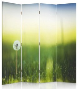 Ozdobný paraván, Pampeliška v zelené trávě - 145x170 cm, čtyřdílný, obustranný paraván 360°