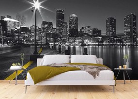 Fototapeta na zed' Noční Nábřeží Bostonu | 360 x 254 cm | DFTS1317