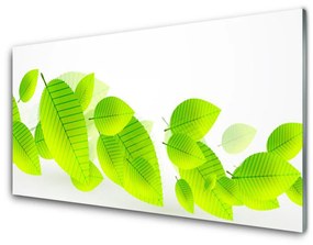 Obraz na skle Listy Květiny Příroda 125x50 cm