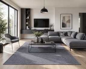 Vopi, Kusový koberec Astra šedá, 400x500, šedá, chodba / předsíň