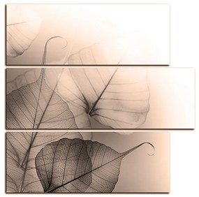 Obraz na plátně - Květinové listy - čtverec 3149FD (105x105 cm)