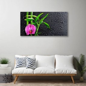 Obraz na plátně Bambus Květ Kapky 140x70 cm