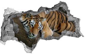 Wallmuralia Díra 3D fototapeta nálepka Tygr na stromě 95x73 cm
