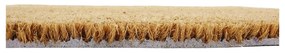 Rohožka z kokosového vlákna 40x60 cm Pin – Artsy Doormats