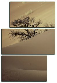 Obraz na plátně - Červené písečné duny - obdélník 7133FD (105x70 cm)
