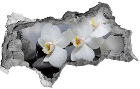 Wallmuralia Samolepící nálepka fototapeta Orchidej 95x73 cm