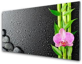 akrylový obraz Bambus Stonek Květ Rostlina 120x60 cm